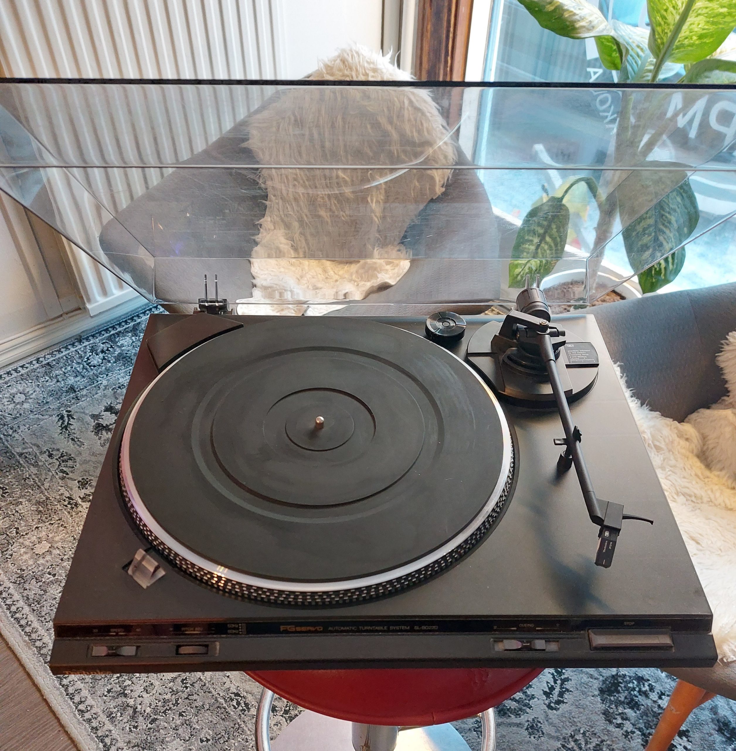 Technics SL-BD22D vinyylilevysoitin - Levykauppa 33 RPM Oy